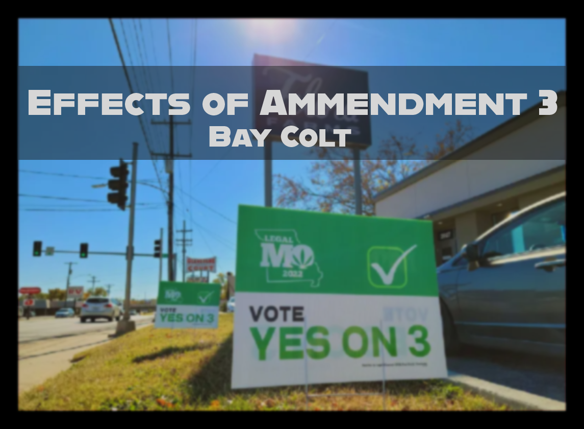 What is Amendment 3? – THS Media